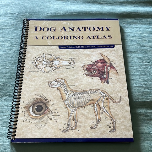 Other | Dog Anatomy A Coloring Atlas | Poshmark